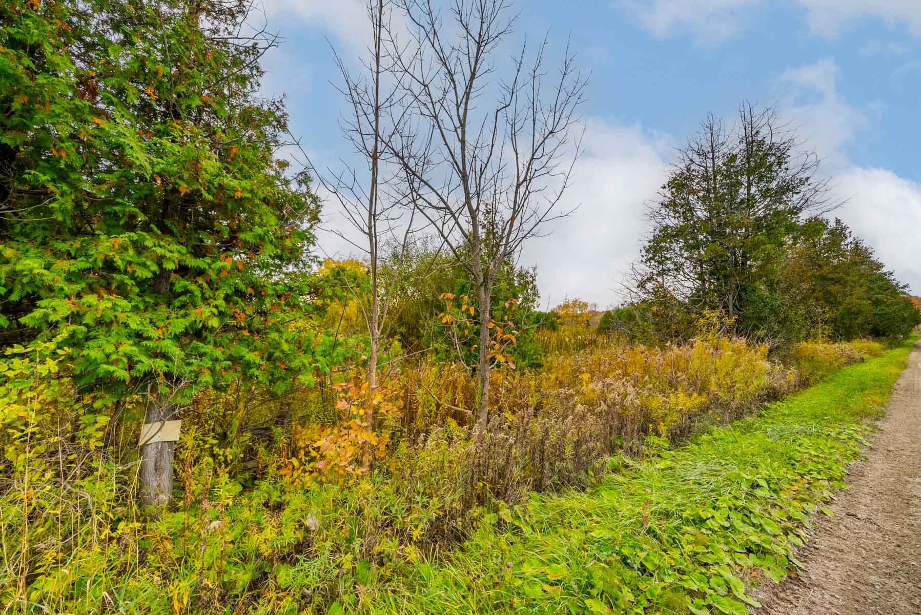 Scugog Line 9, Port Perry | Puckrin & Latreille Team | Durham Real Estate