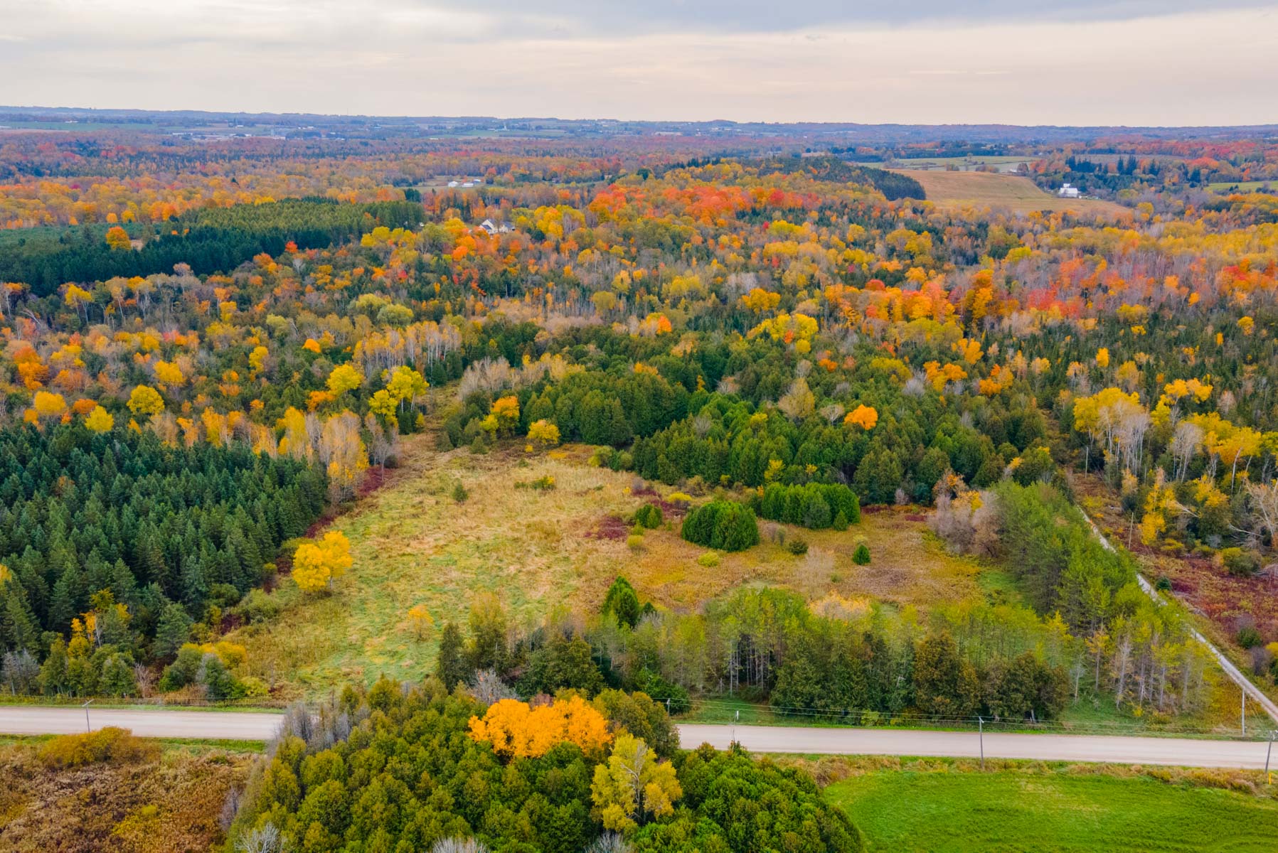 Scugog Line 9, Port Perry | Puckrin & Latreille Team | Durham Real Estate