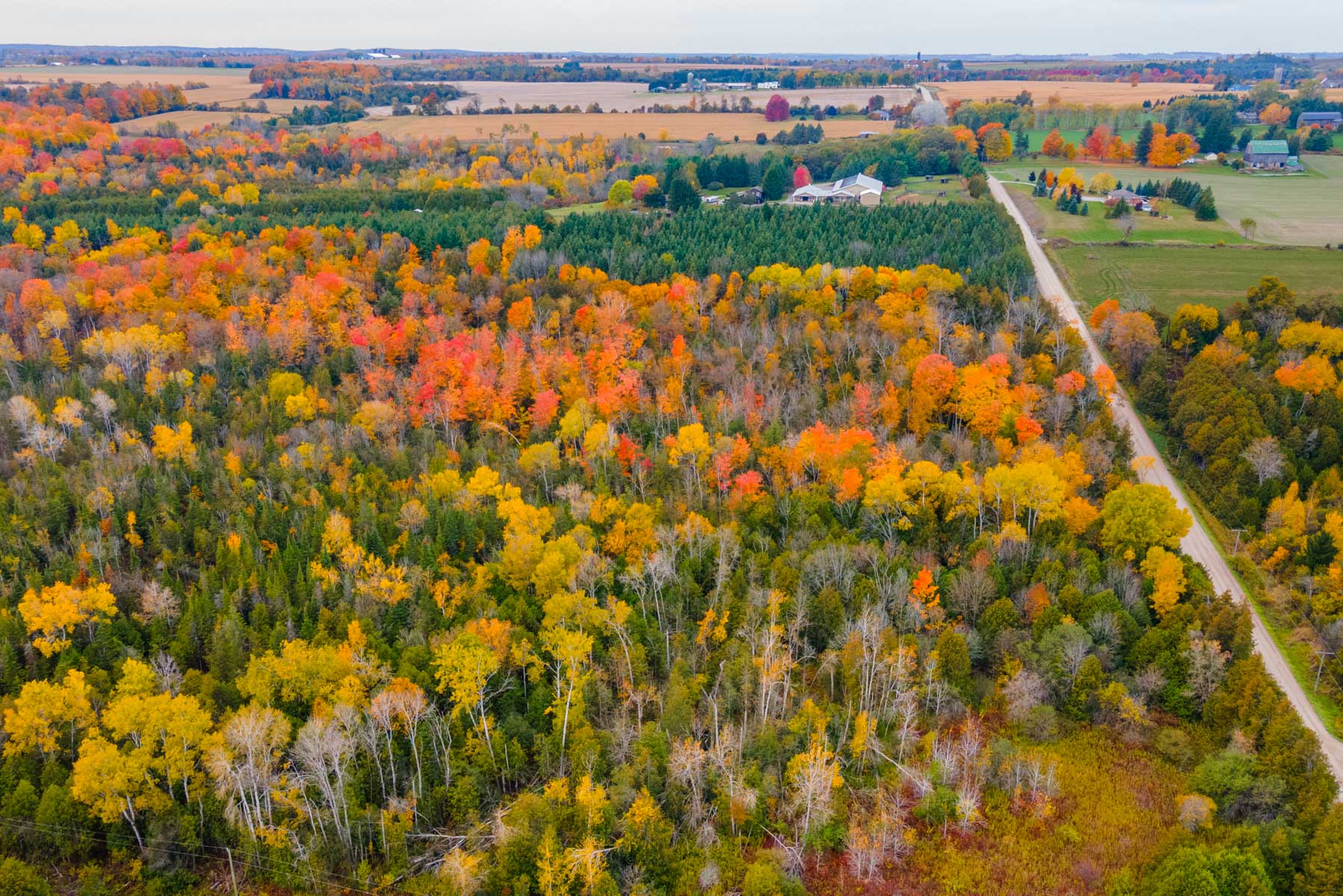 Scugog Line 9, Port Perry | Puckrin & Latreille Team | Durham Real Estate