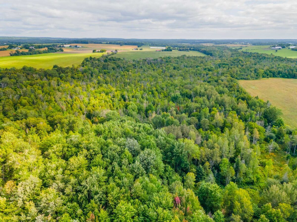 4570 Fallis Road, Nestleton | Puckrin & Latreille Team | Durham Real Estate