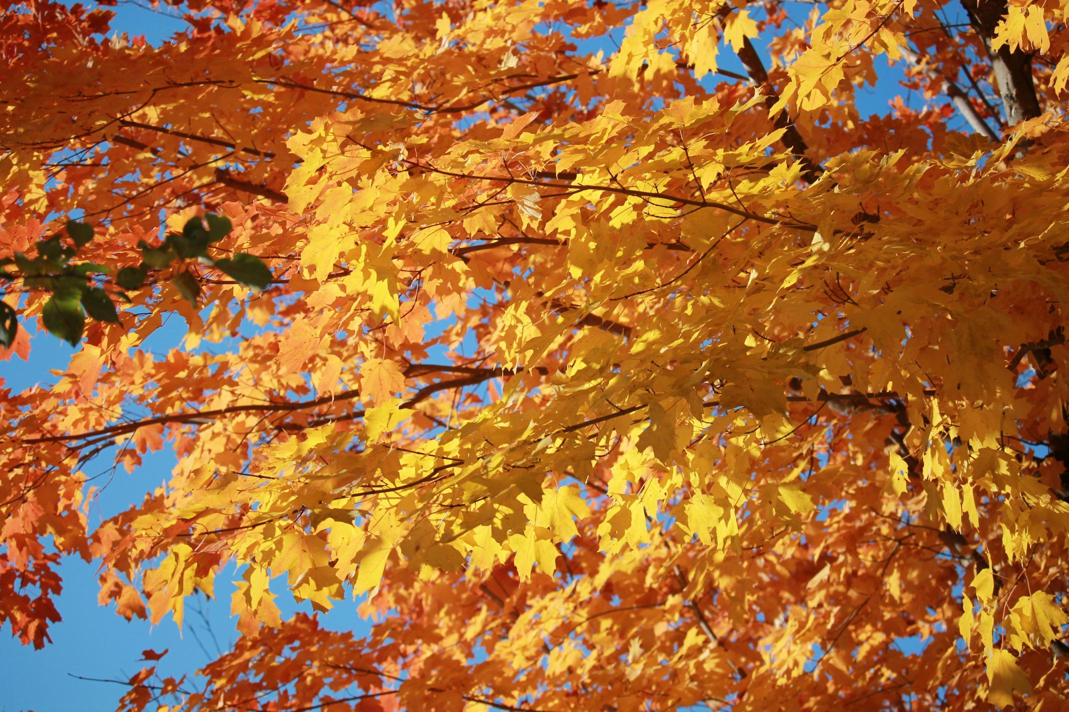 When is The Best Time to Sell a House in Ontario?